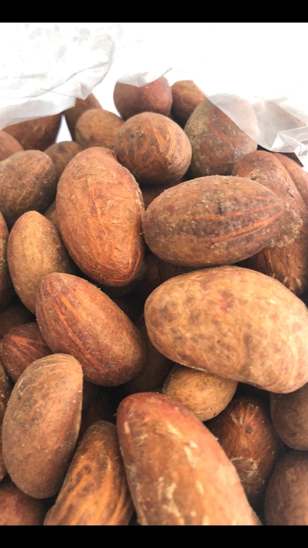 Bitter Kola Nuts / Orogbo - Etsy