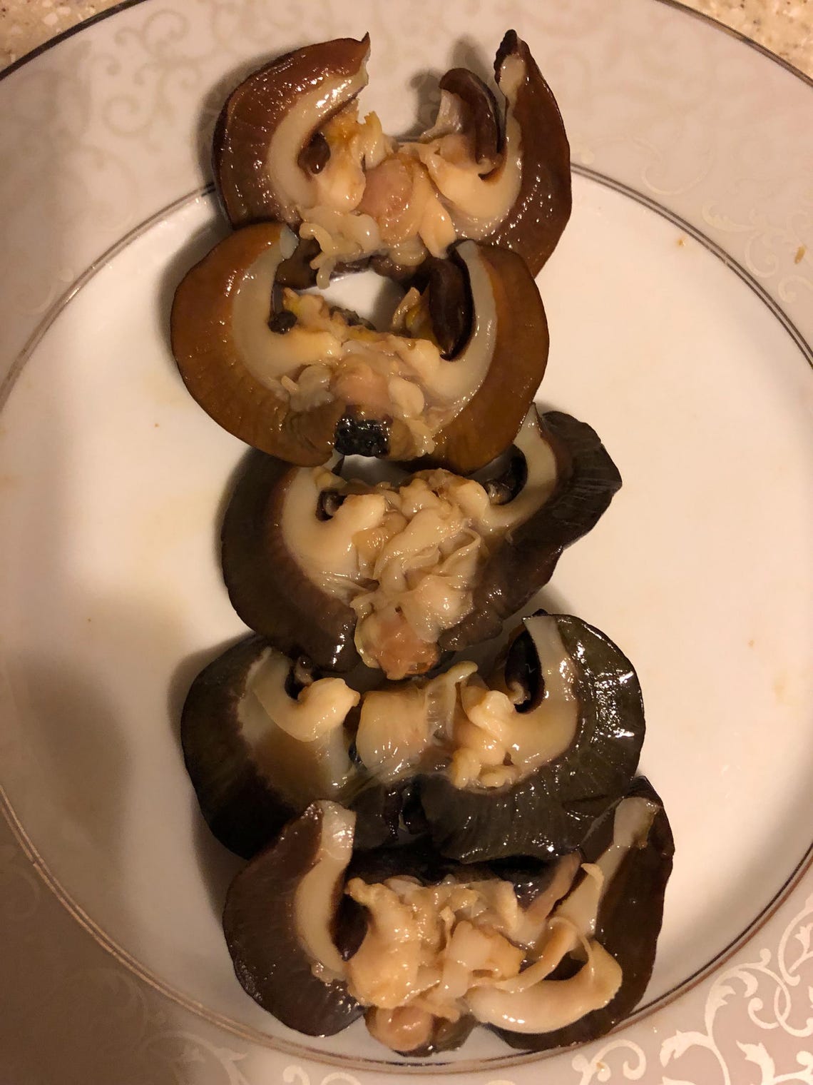 Fresh Frozen Jumbo Snails - Ready to Cook 1lb. - Etsy