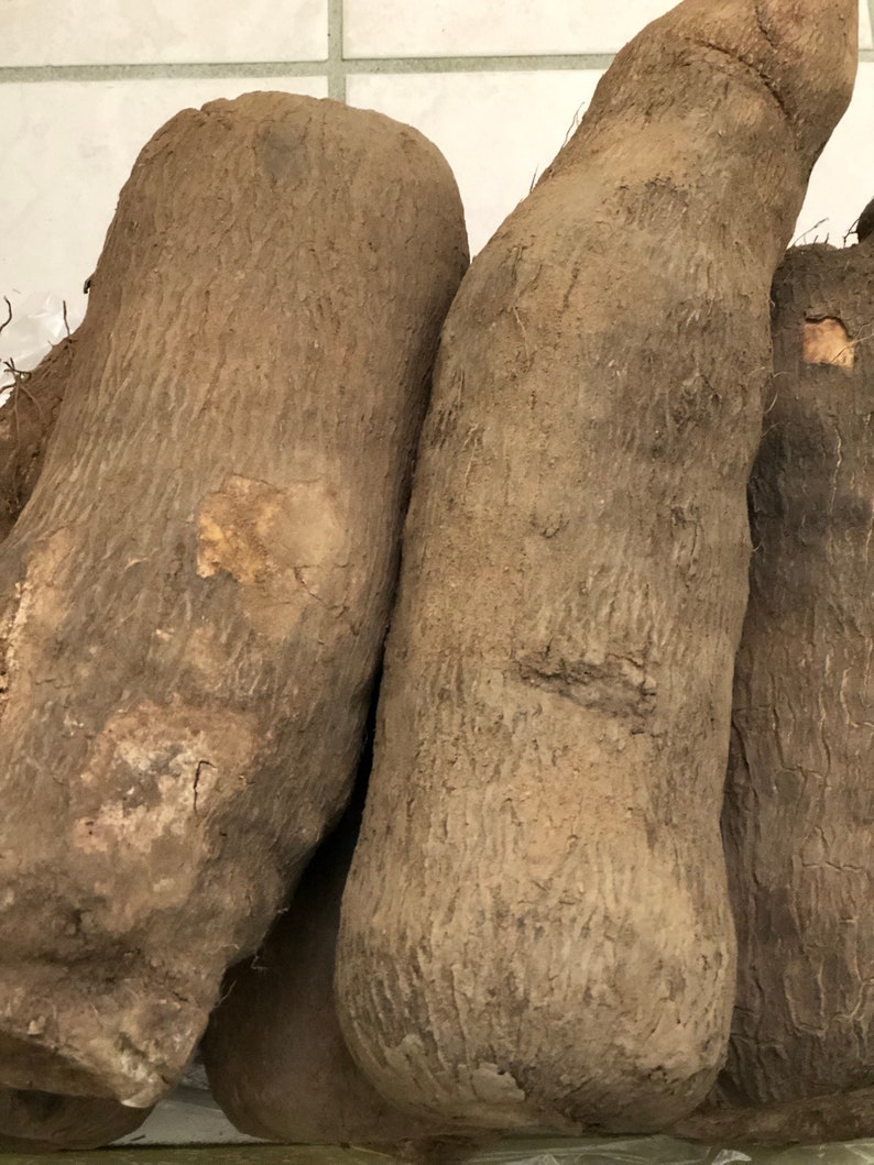 New Ghana Yam/fresh Yam. - Etsy