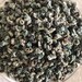 Dry Periwinkle/dehydrated Periwinkle 4oz - Etsy