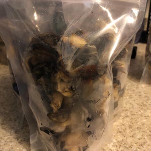 Ngolo/whelk/nkonkor/sea Snail,***ships Only on Monday & Tuesday With ...