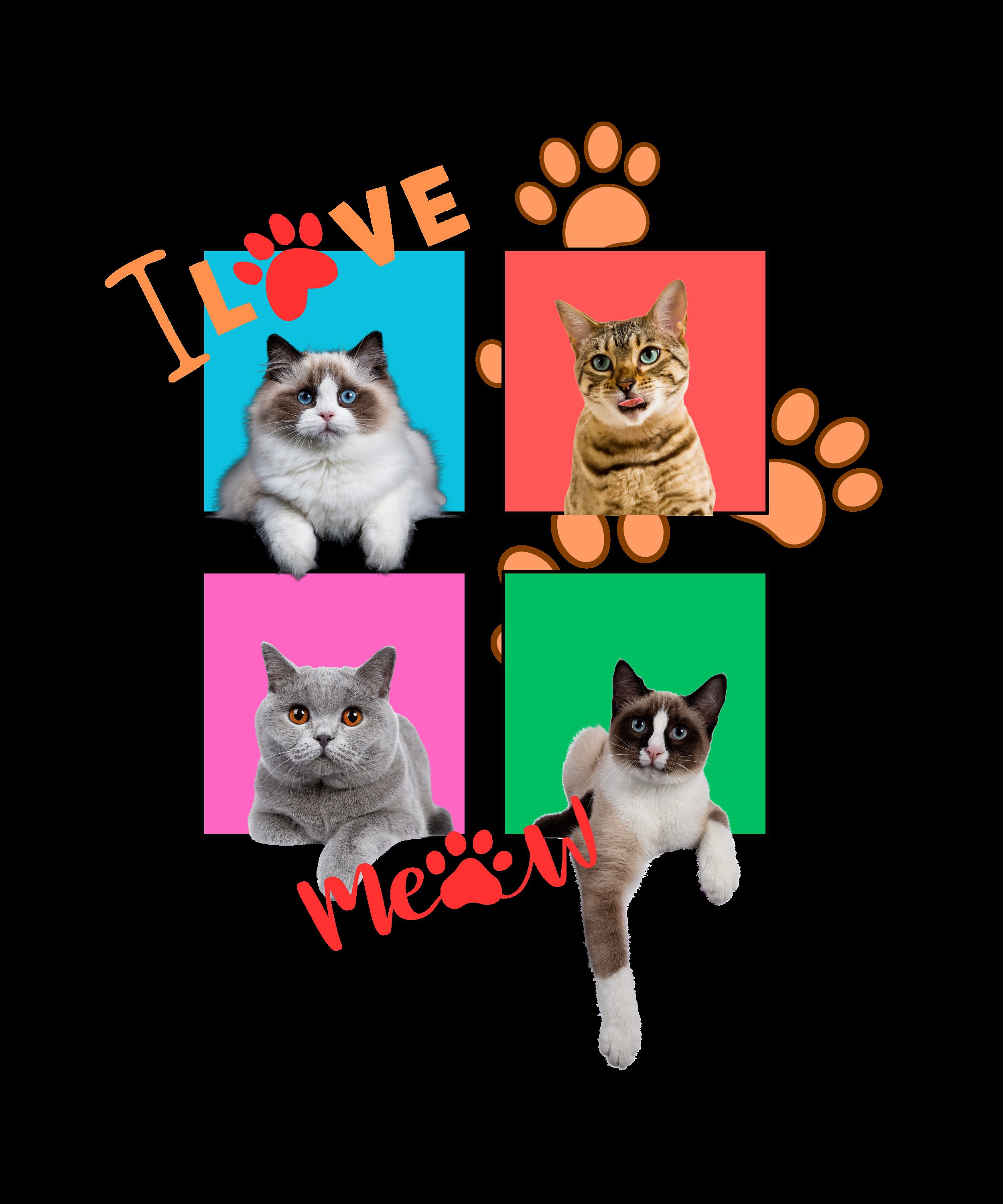 Funny Cat PNG Bundle, Cat PNG, Cat Lady PNG, Crazy Cat Lady - Etsy