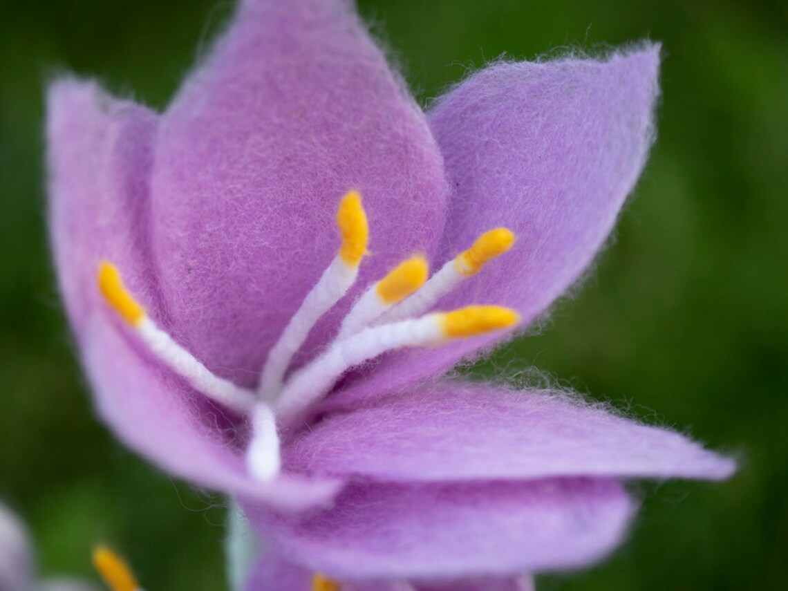 Crocus Fairy With Her Beloved Flowers. Needle Felted Character - Etsy