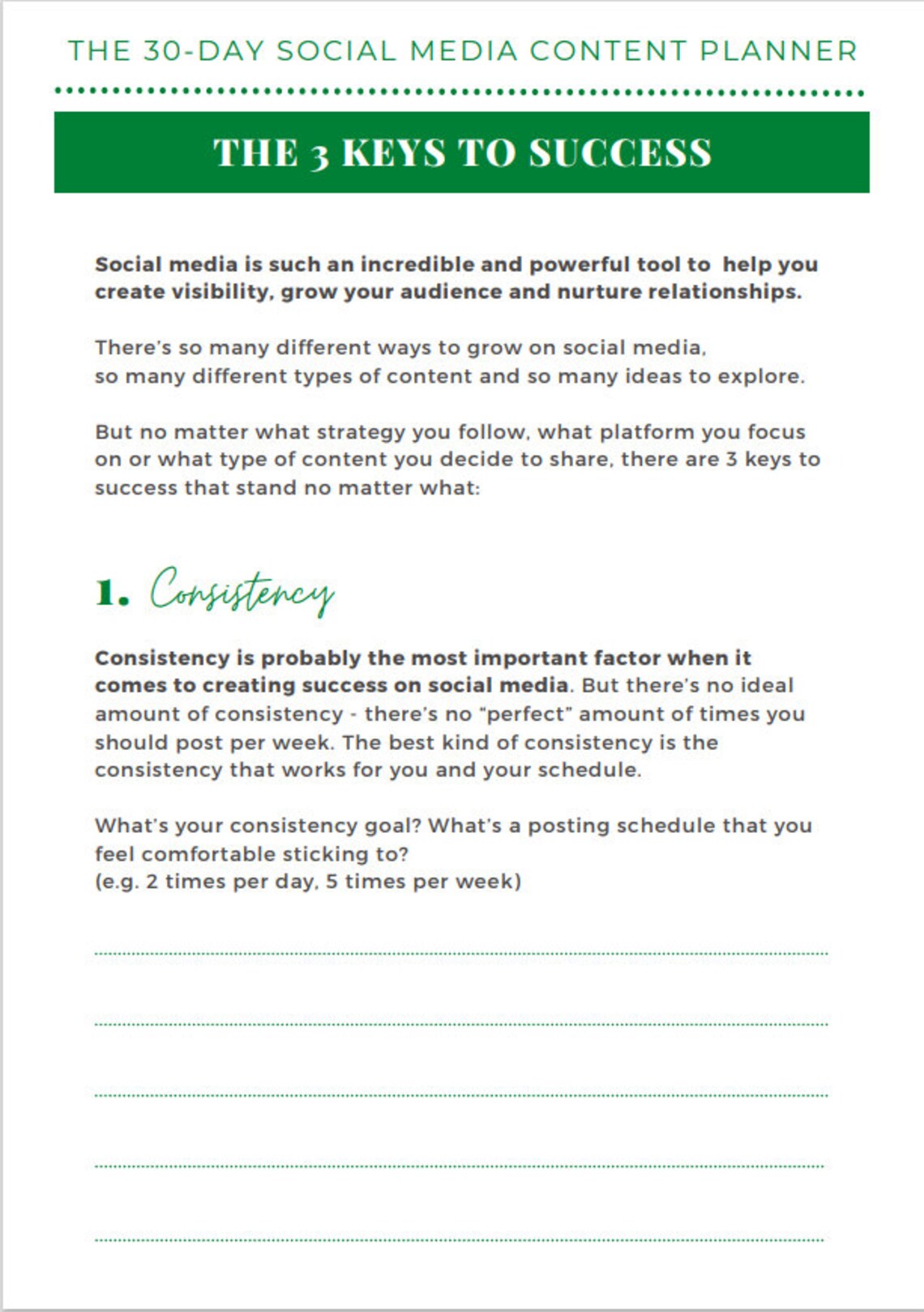 30-day Social Media Planner - Etsy