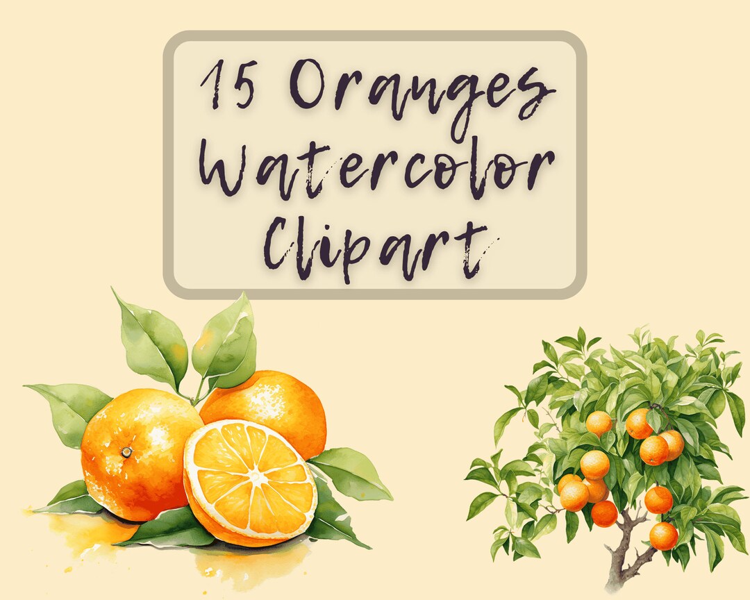 Oranges Watercolor Clipart 15 PNG Digital Download - Etsy