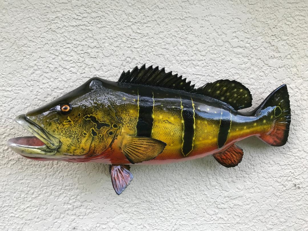 PEACOCK BASS - Fish Mount - Fiberglass Taxidermy Replica - Half Mount ...