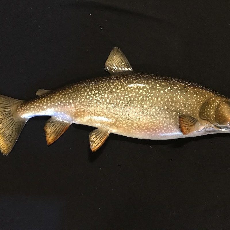 Half Fish Wall Mount - Etsy