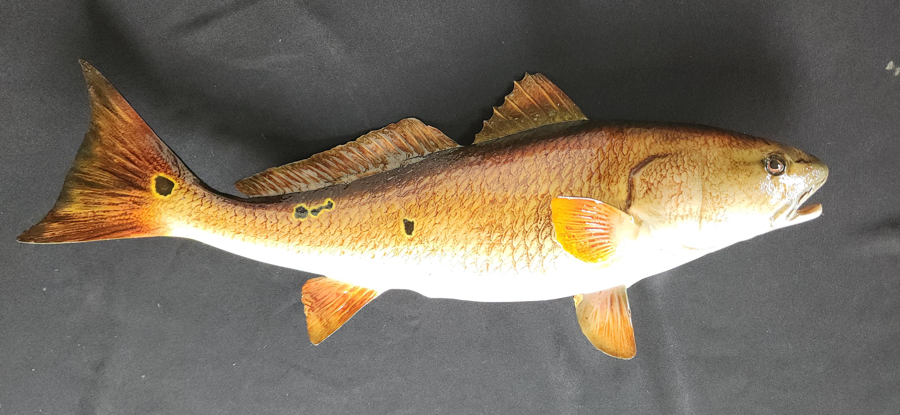 Redfish Aka Red Drum - Fish Mount - Fiberglass Taxidermy Replica - Half ...