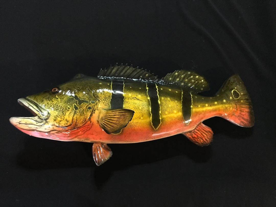 PEACOCK BASS - Fish Mount - Fiberglass Taxidermy Replica - Half Mount ...