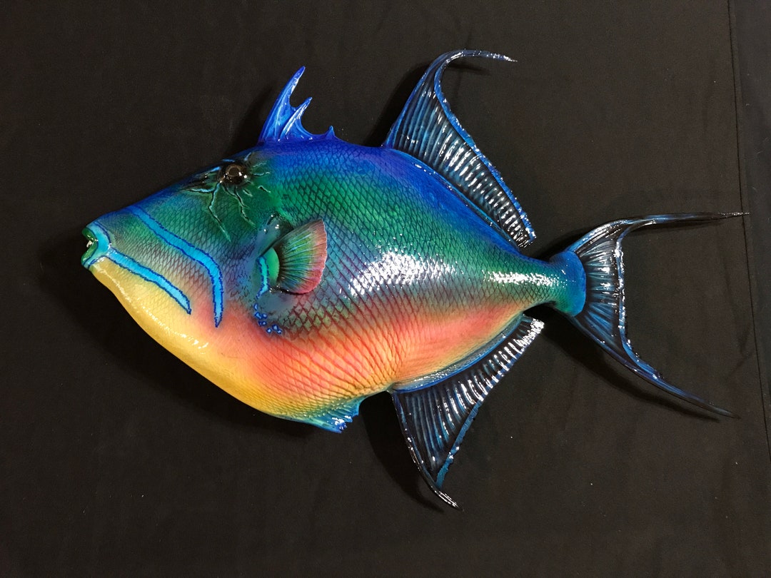 Queen Trigger Fish - Fish Mount - Fiberglass Taxidermy Replica - Half ...