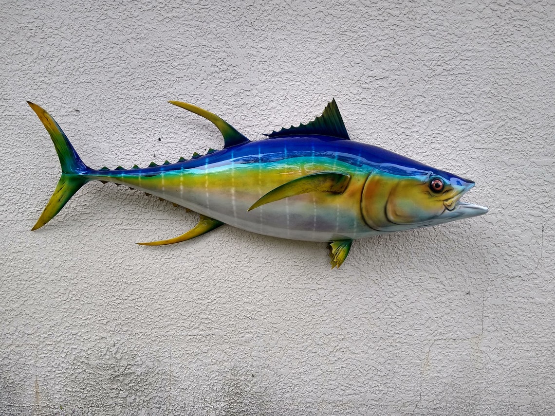 Tuna, Yellow Fin - Fish Mount - Fiberglass Taxidermy Replica - Half ...