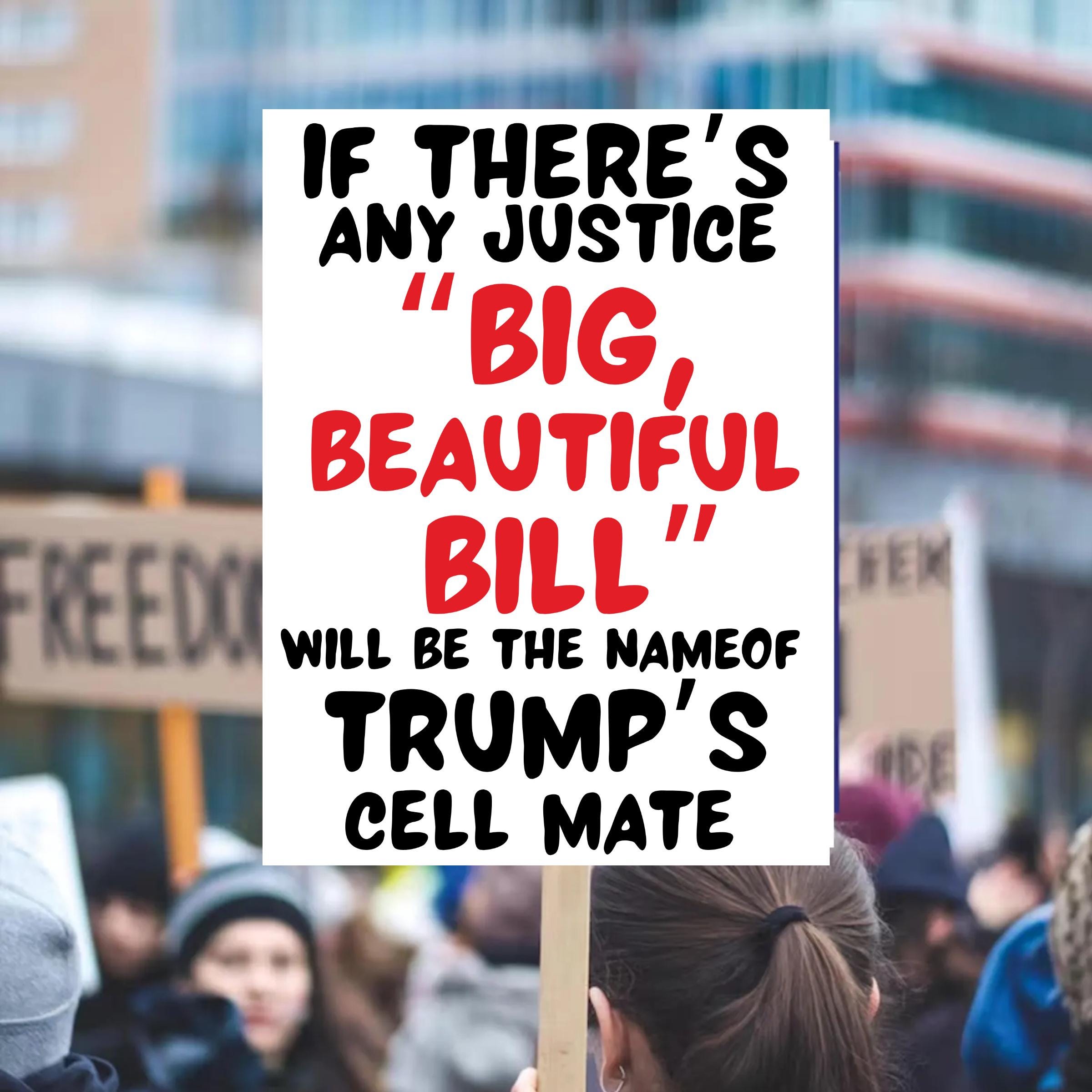 Big Beautiful Bill Political Protest Sign, Funny Political Protest Sign ...
