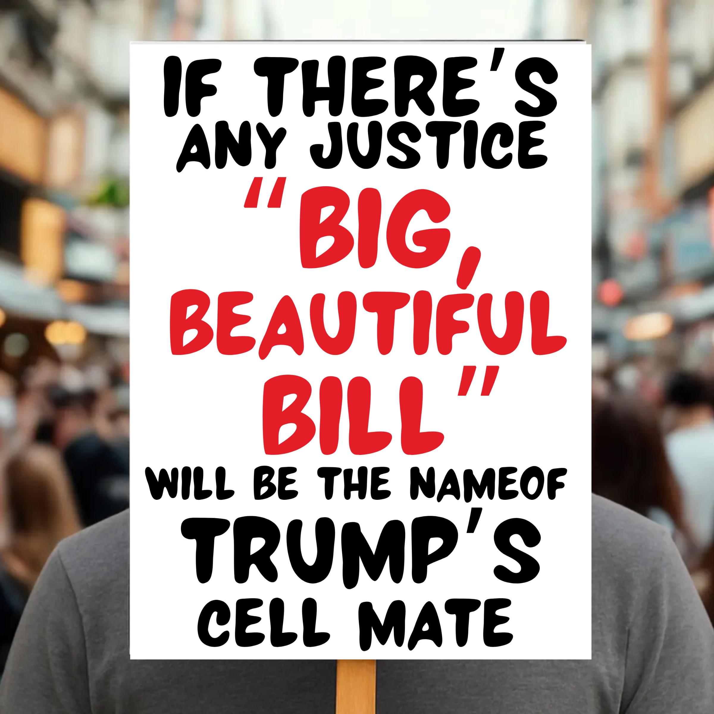 Big Beautiful Bill Political Protest Sign, Funny Political Protest Sign ...