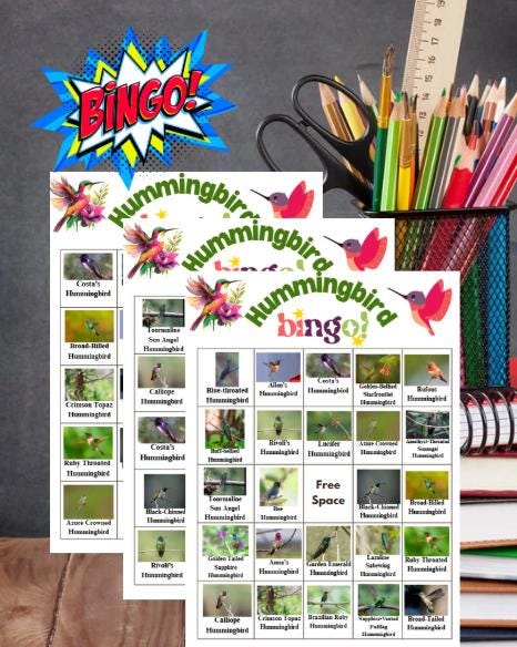 Printable Hummingbird Bingo Game for Kids and Adults Educational Nature ...