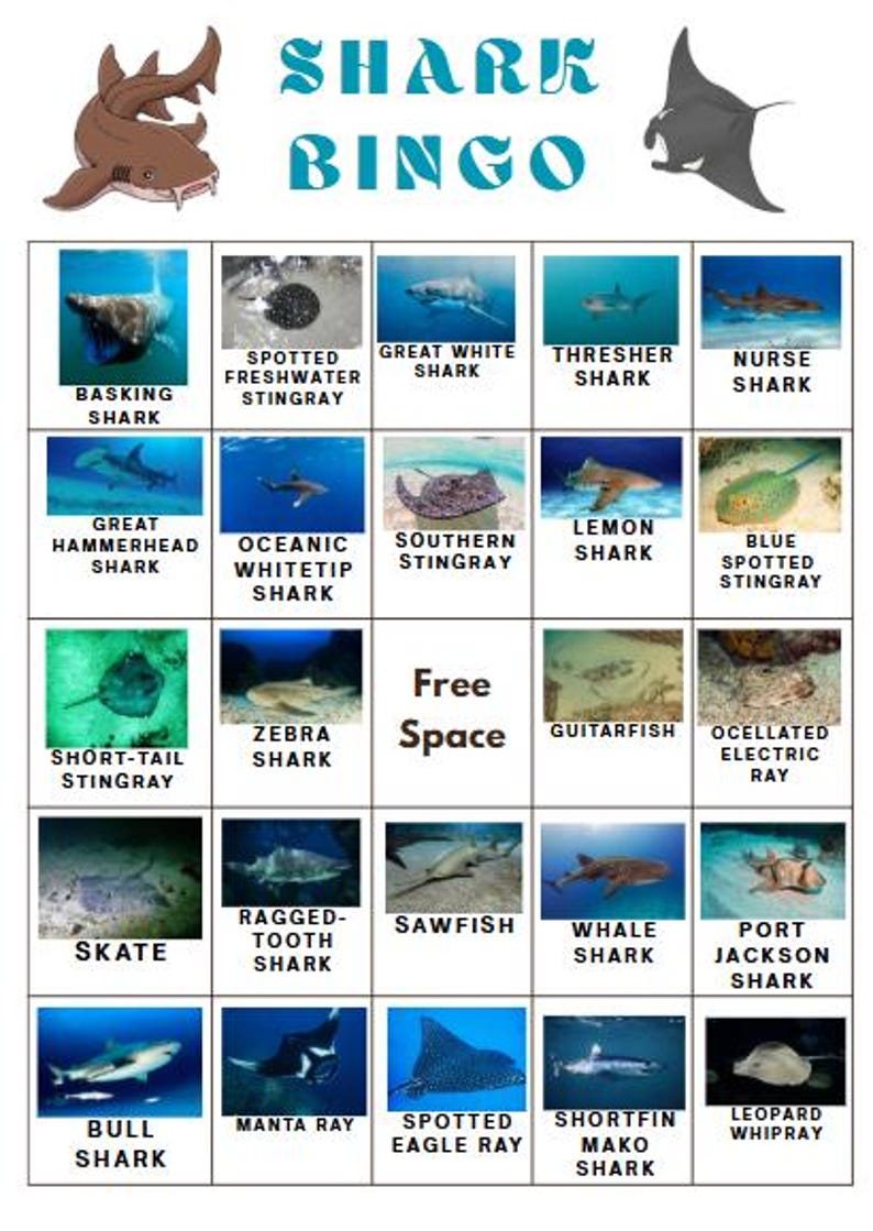 Shark Bingo Game Printable Ocean Animal Party Game for Kids Shark ...