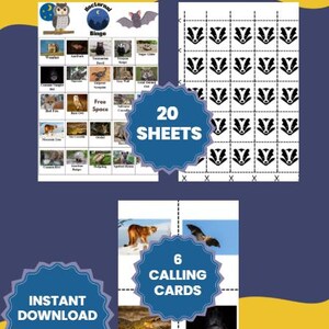 Printable Nocturnal Animals Bingo Game for Kids and Adults Educational ...