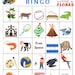 Honduras Bingo Game Printable Honduran Cultural Game Family Classroom ...