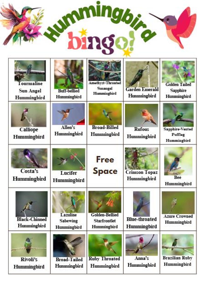 Printable Hummingbird Bingo Game for Kids and Adults Educational Nature ...