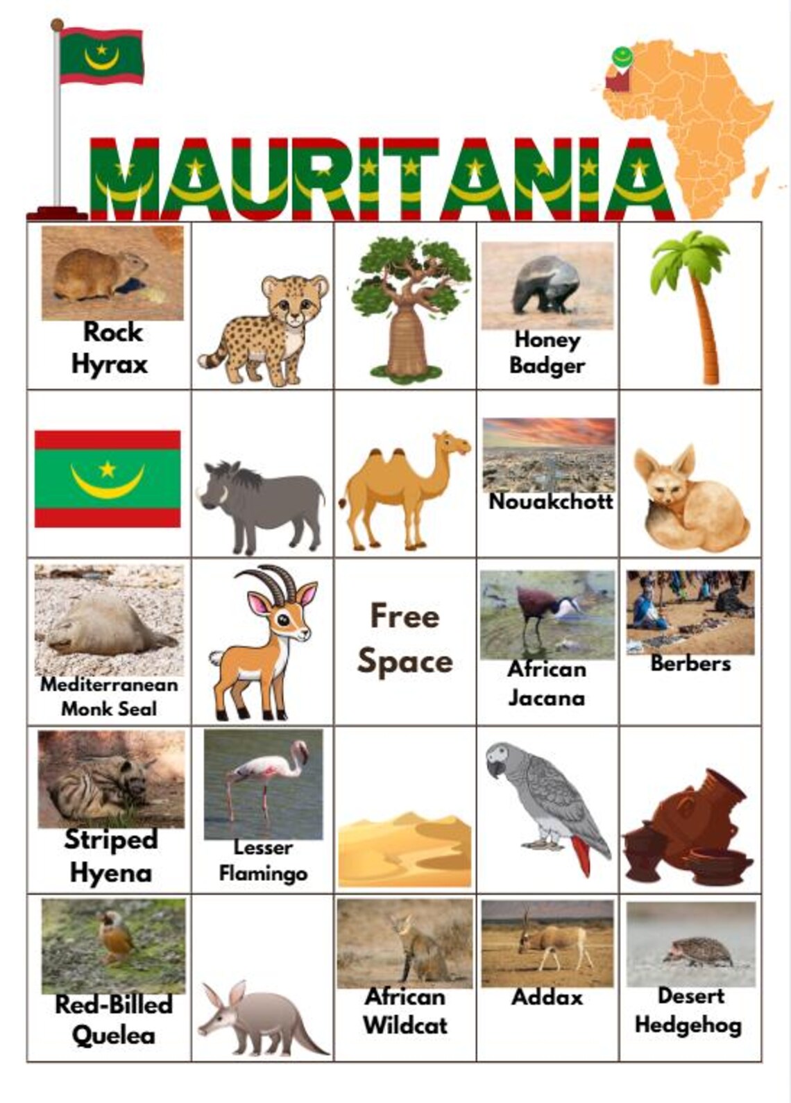 Printable Mauritania Bingo Game 20 Cards Desert Culture History ...