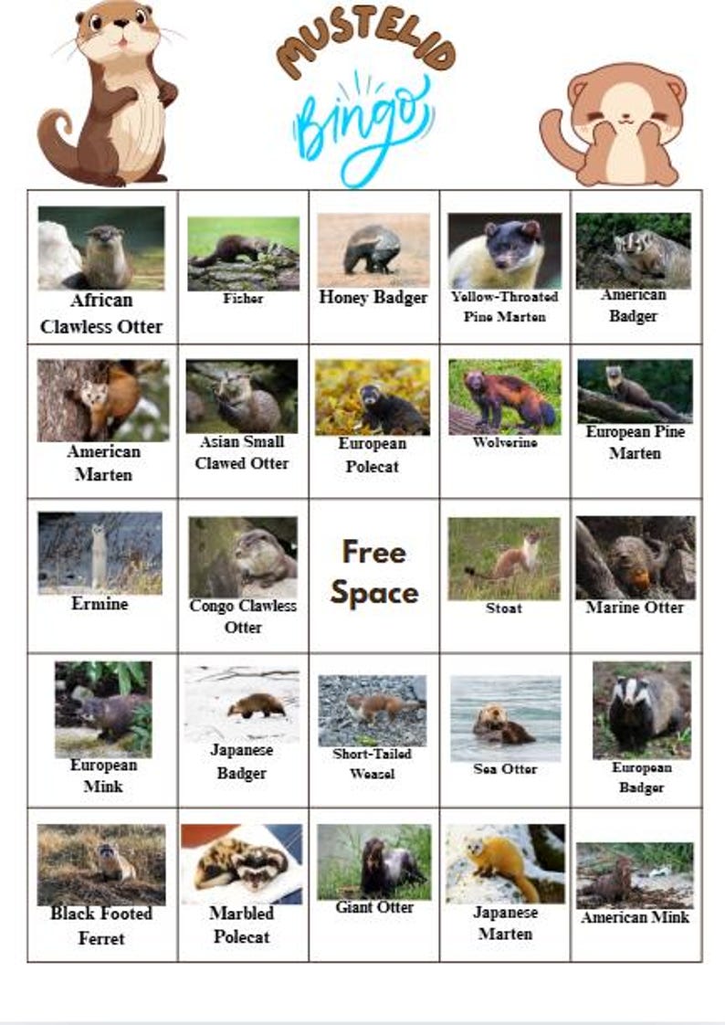 Printable Mustelid Bingo Game for Kids and Adults Fun Educational ...