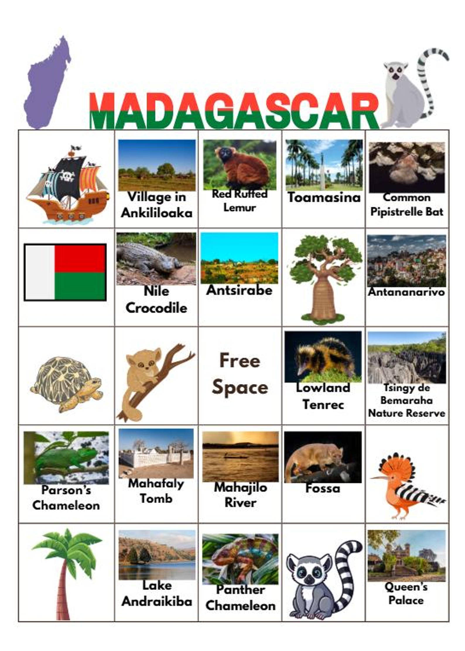 Printable Madagascar Bingo Game 20 Cards Lemurs Wildlife Nature ...