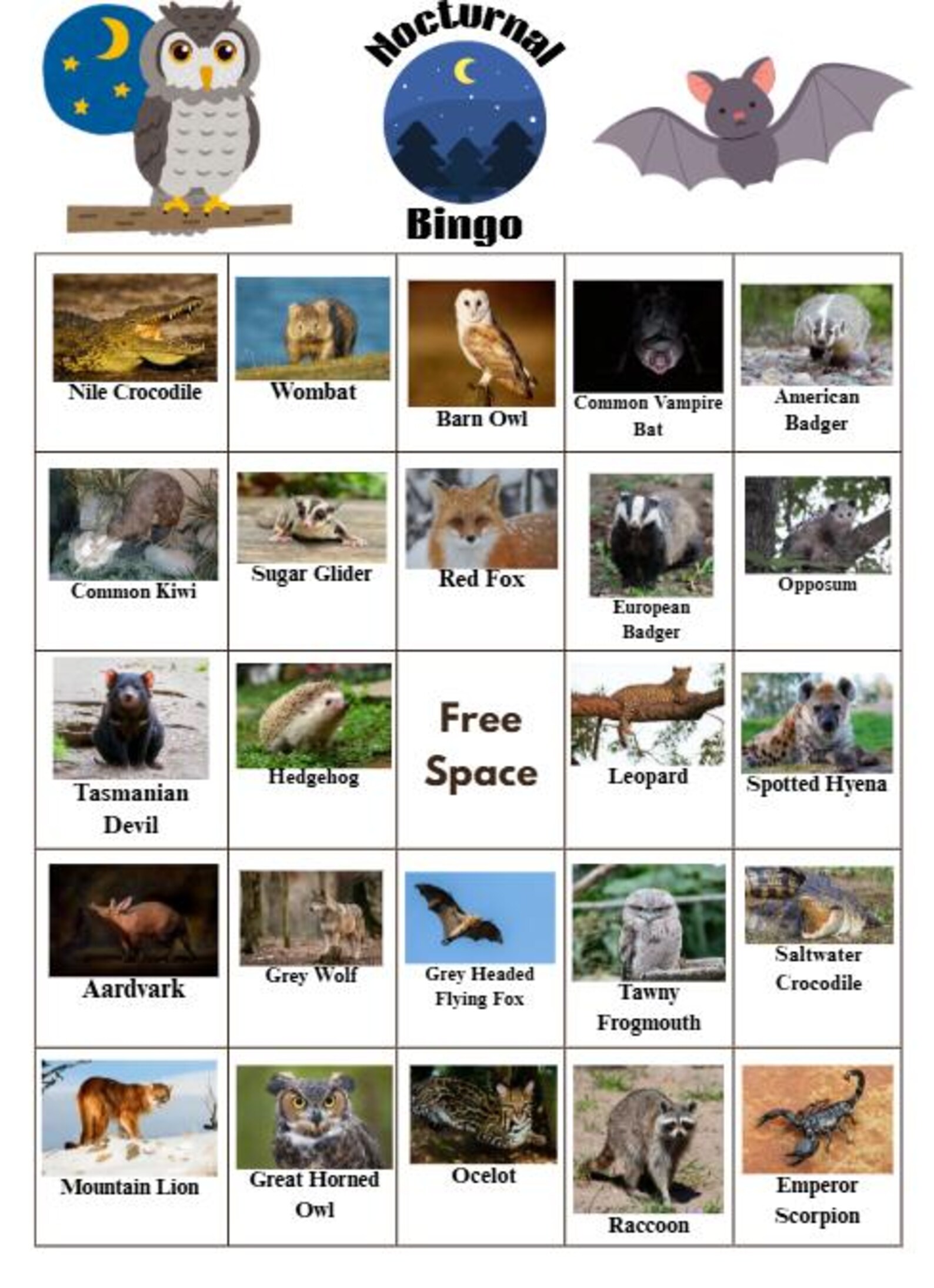 Printable Nocturnal Animals Bingo Game for Kids and Adults Educational ...