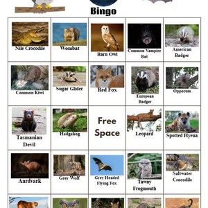 Printable Nocturnal Animals Bingo Game for Kids and Adults Educational ...