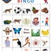 Costa Rica Bingo Game Printable Spanish Activity Hispanic Heritage ...
