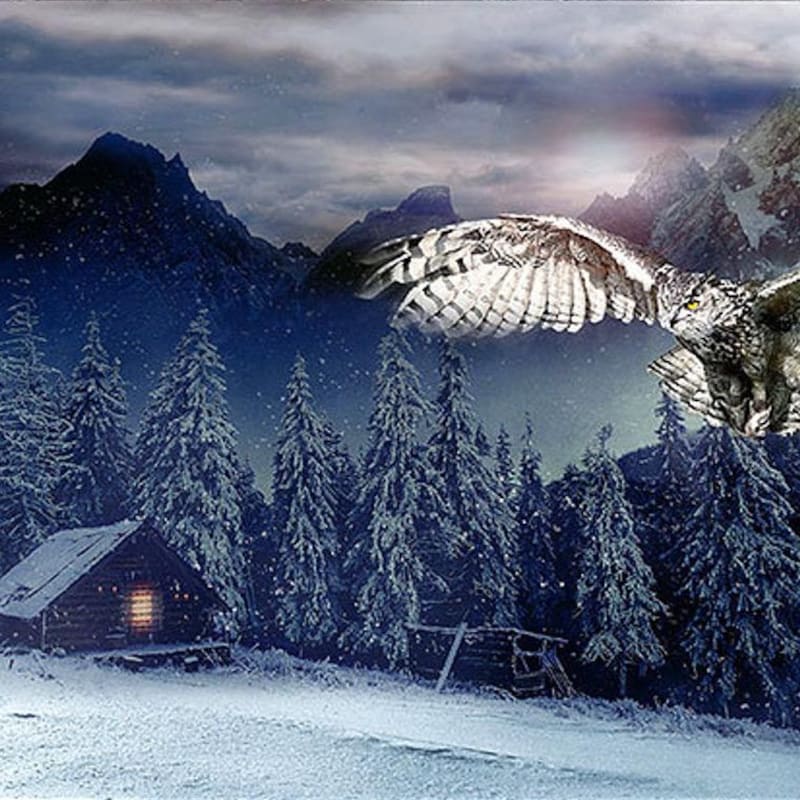 White Owls Fabric Panels - Etsy