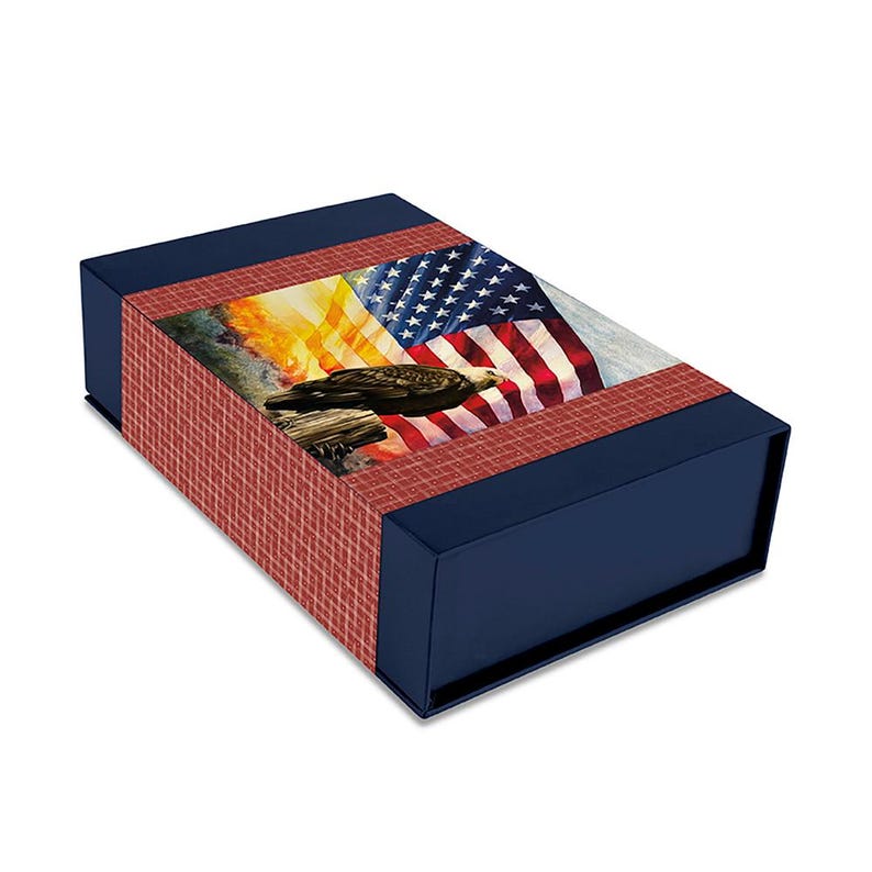 American Honor Panel Quilt Kit With Keepsake Box by Riley Blake Designs ...