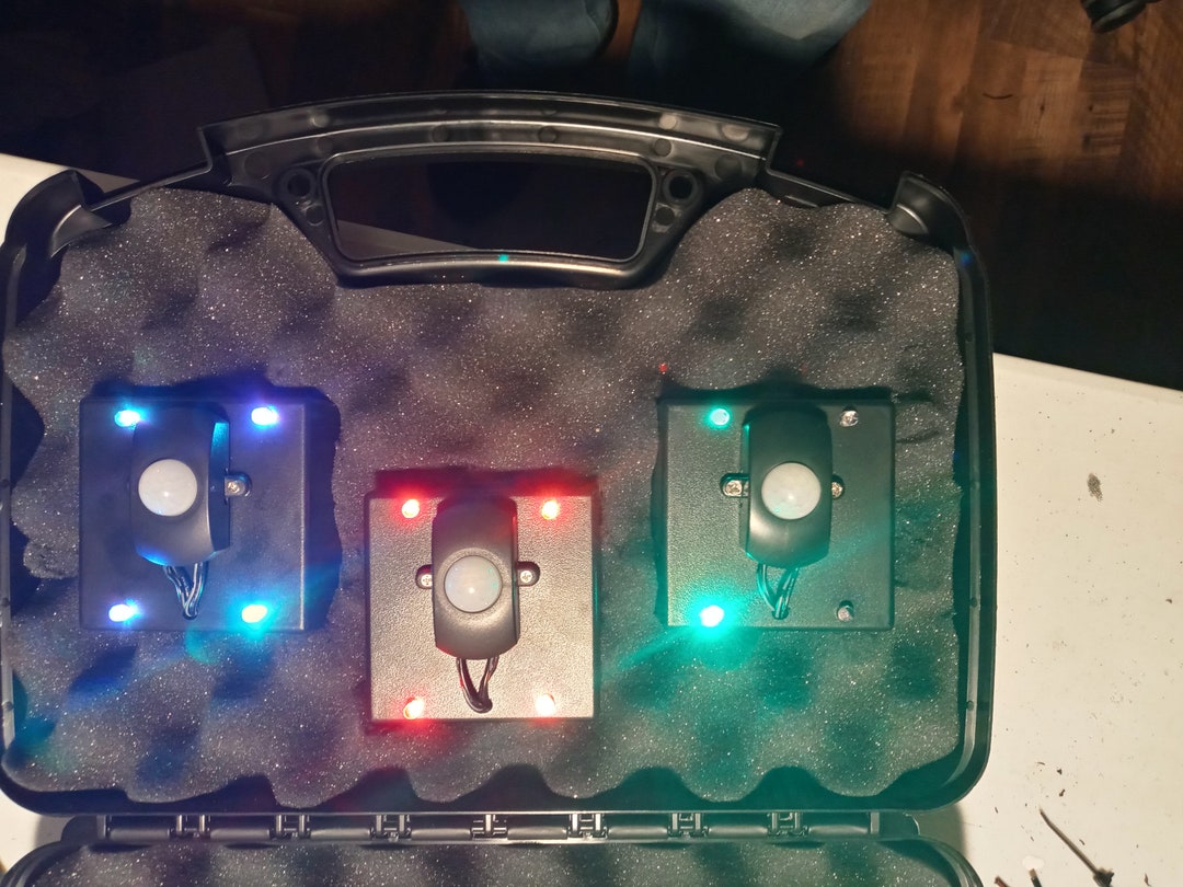 Sentry Kit Motion Sensors for Ghost Hunting - Etsy