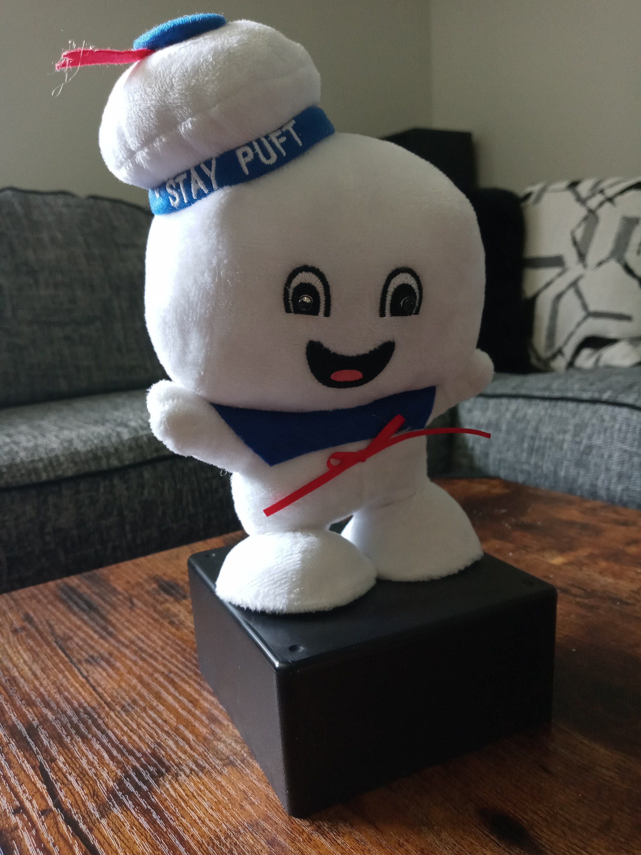 Ghost Hunting Ghost Buster Plushy Rem Pod for Paranormal Investigations ...