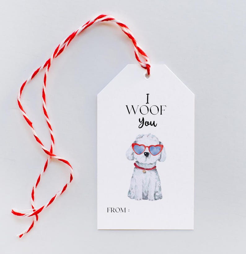 Valentines Gift Tag, Kids Printable Vday Gift, Classroom DIY Valentines ...