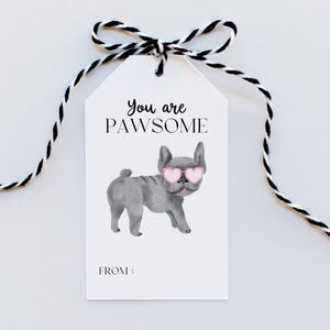 Valentines Gift Tag, Kids Printable Vday Gift, Classroom DIY Valentines ...