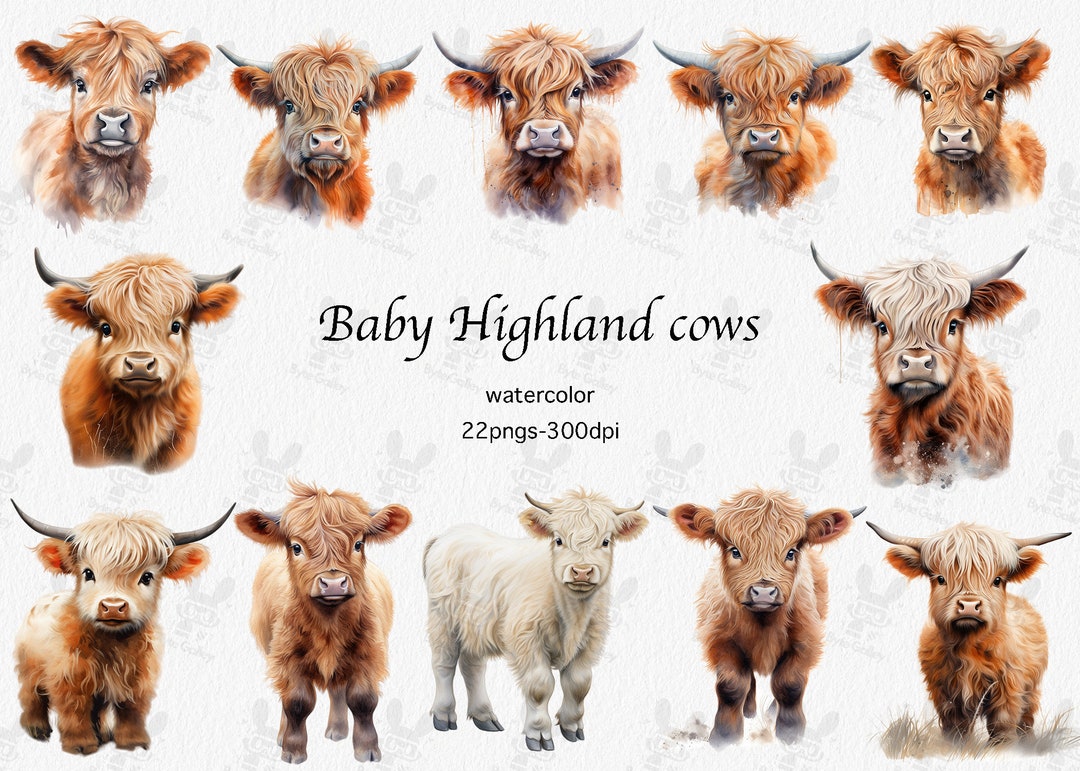 Watercolor Baby Highland Cow Clipart: 21 PNG Illustrations (digital ...