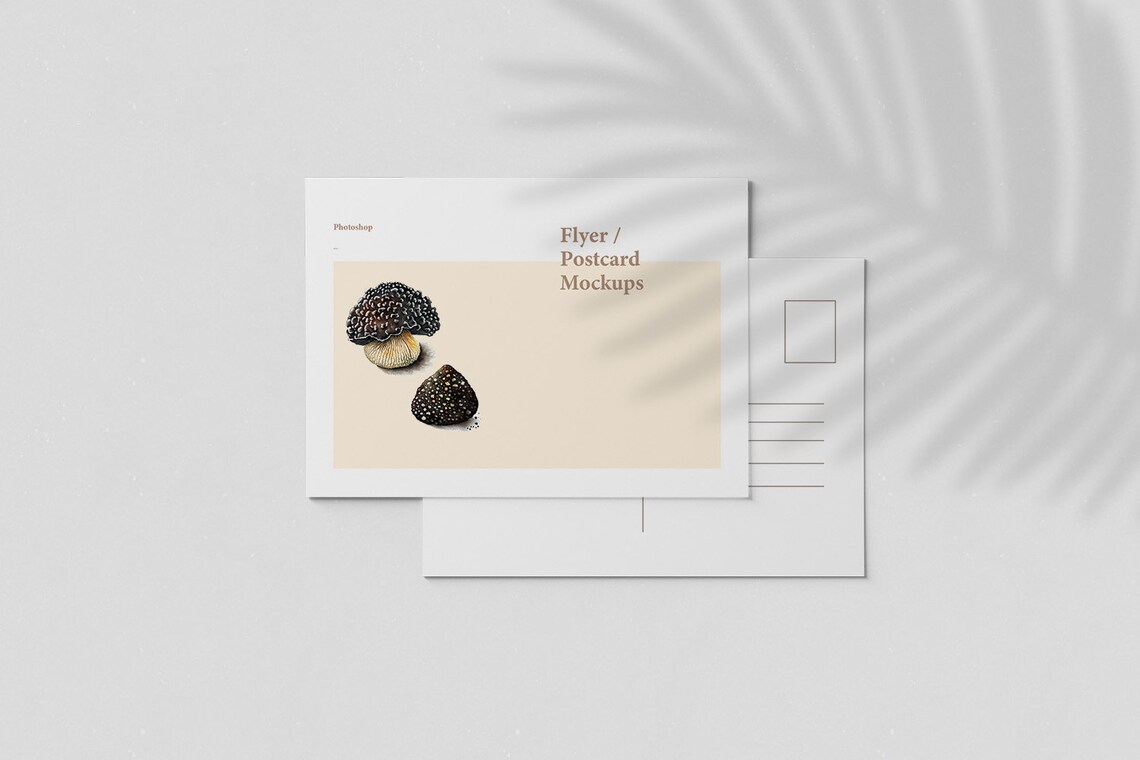 Mushroom Watercolor Clipart, Watercolor Forest Art, Fantasy Clipart ...