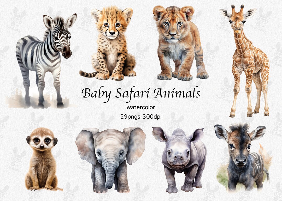 Watercolor Baby Safari Animals Clipart: Nursery Decor (PNG Digital ...