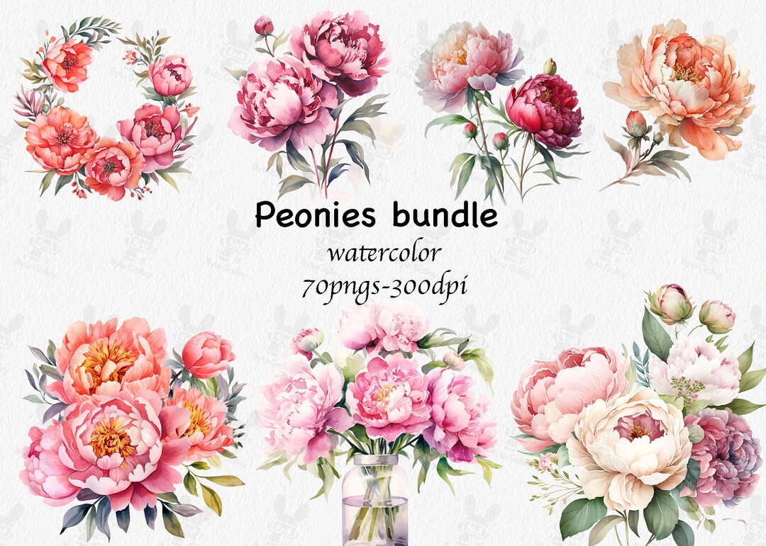 High-res Watercolor Peonies Clipart - PNG Floral Instant Download for ...