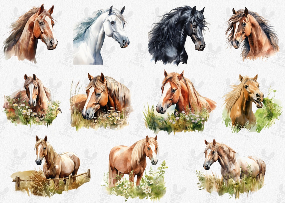 Horse PNG Horse Clipart Set Watercolor Horse Sublimation - Etsy UK