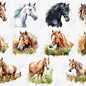 Horse PNG | Horse Clipart Set | Watercolor Horse Sublimation Designs ...