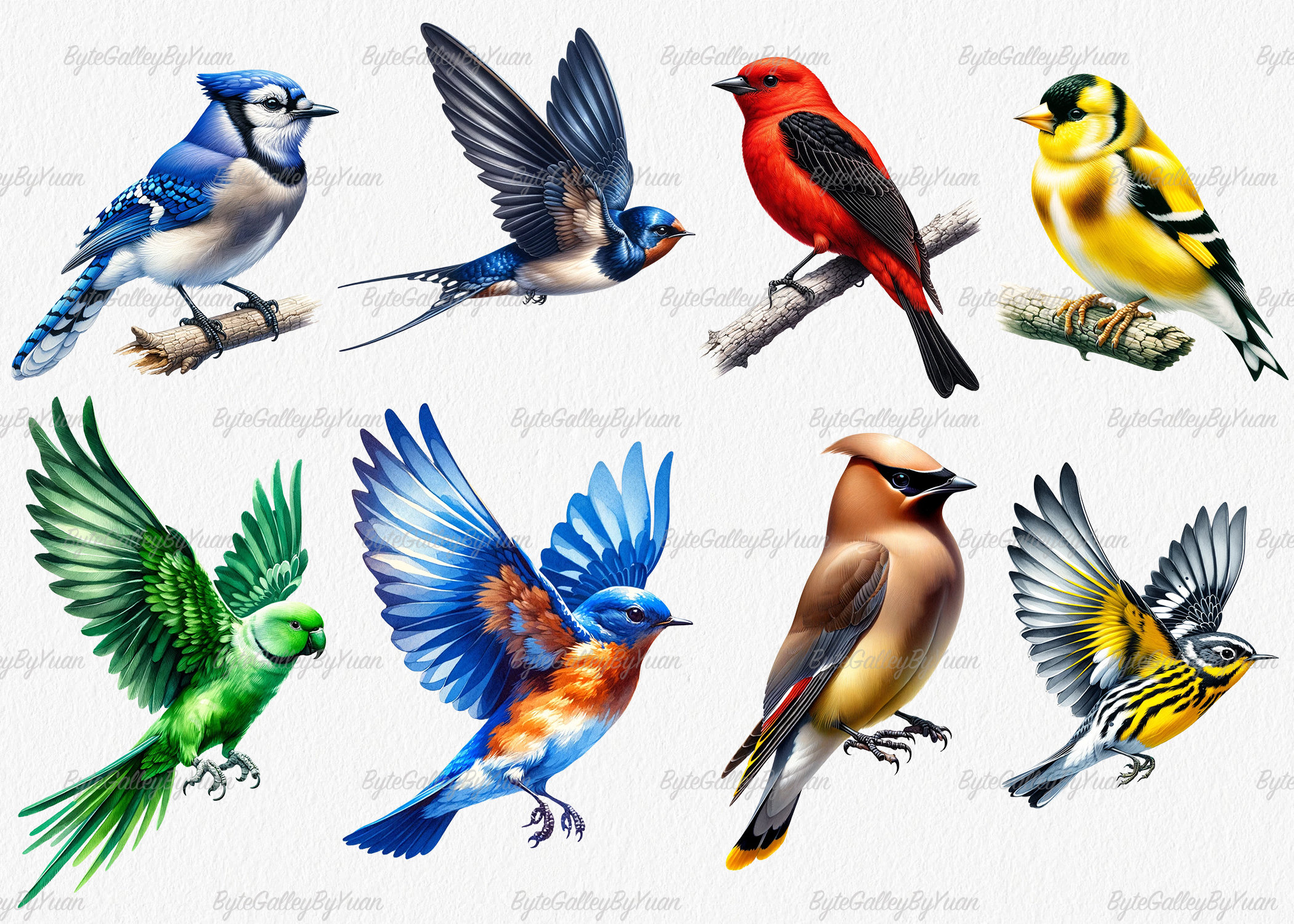 High Quality Watercolor Birds Clipart Png, Backyard Birds, Birds Wall ...