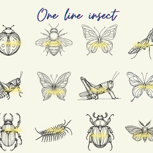 Insects Line Art Vector SVG, Insects Outline, Insects Svg,insect Png ...