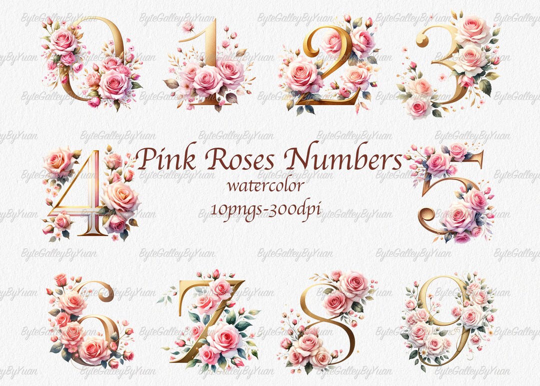 Watercolor Pink Roses Numbers Clipart: Commercial Use PNG (digital ...