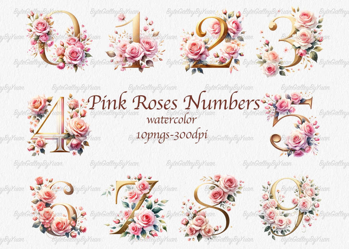 Watercolor Pink Roses Numbers Clipart, Commercial Use, Vector Graphics ...