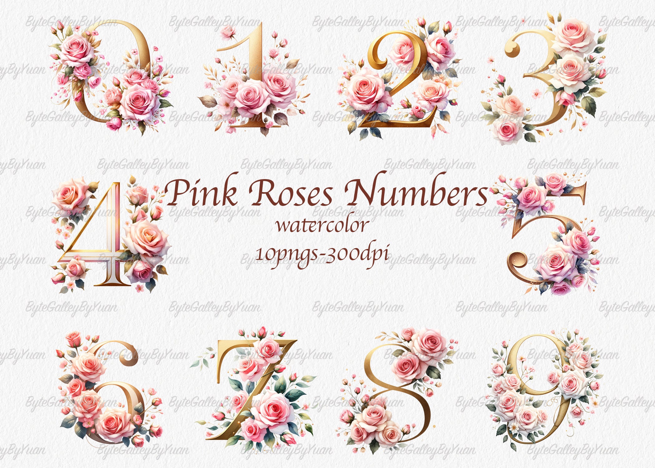 Watercolor Pink Roses Numbers Clipart, Commercial Use, Vector Graphics ...