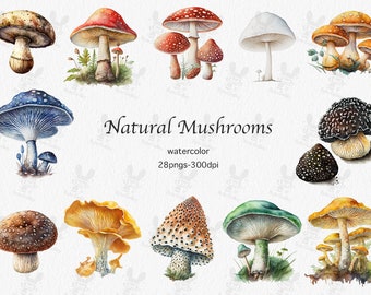 Watercolor Mushrooms Clipart Bundle PNG Format With - Etsy