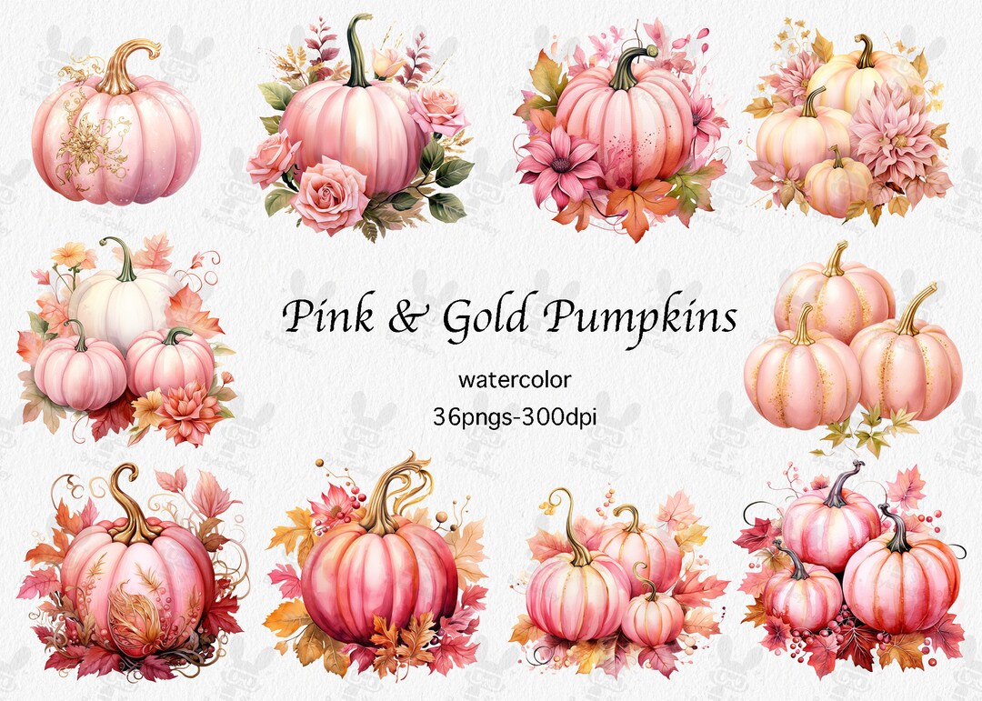 Pink Pumpkin Clipart Bundle: Gold Floral Graphics (commercial Use) - Etsy