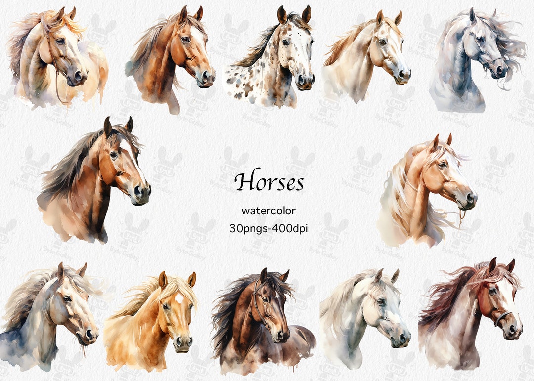Horse PNG | Horse Clipart Set | Watercolor Horse Sublimation Designs ...