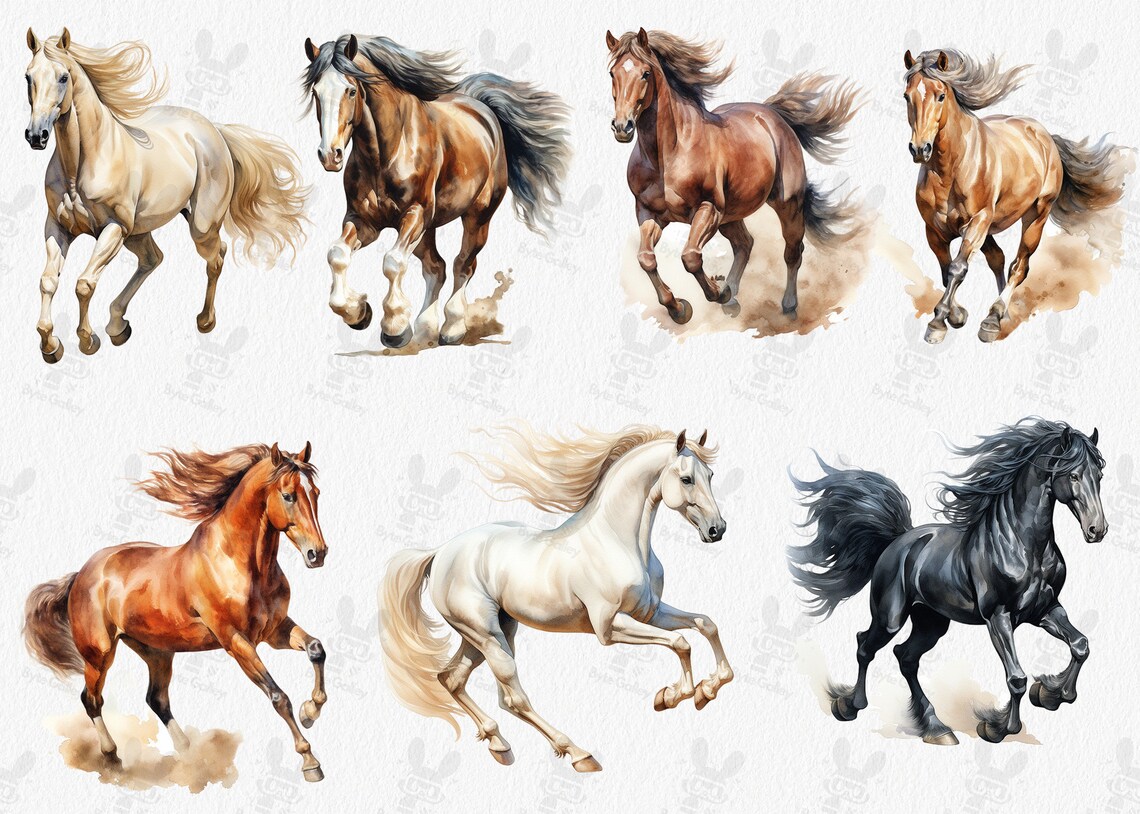 Horse PNG Horse Clipart Set Watercolor Horse Sublimation - Etsy UK