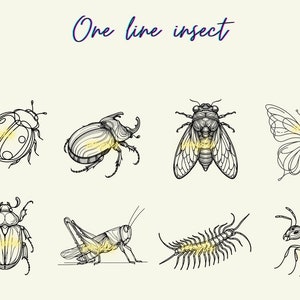 Insects Line Art Vector SVG, Insects Outline, Insects Svg,insect Png ...